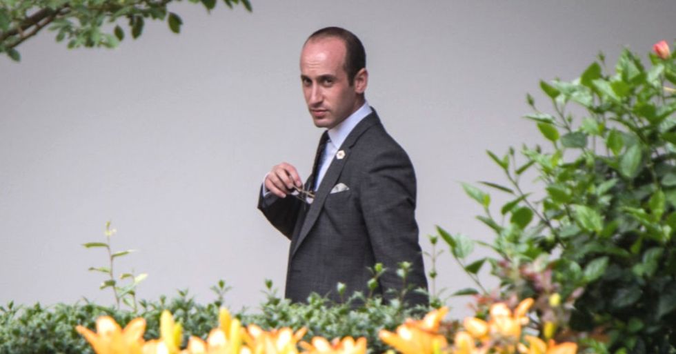 Dr. David S. Glosser: Stephen Miller is an 'Immigration Hypocrite ...