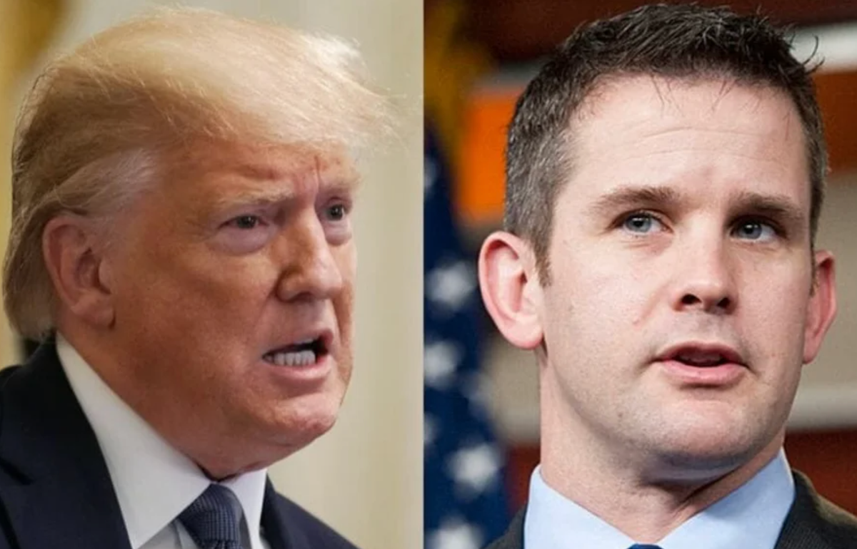 Adam Kinzinger Tells Trump to Stop Amplifying Lies About Voter Fraud ...